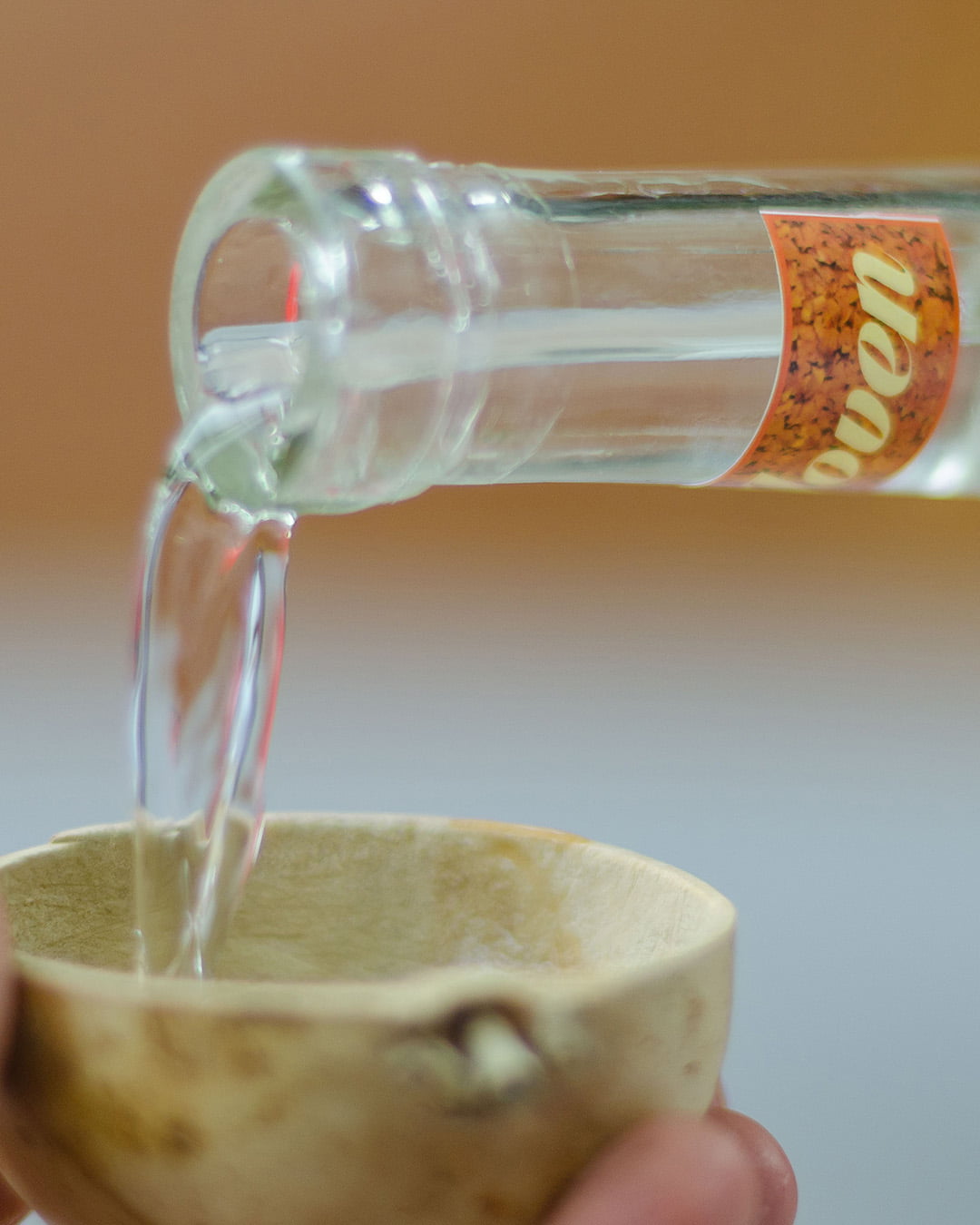 El Consejo Regulador del Mezcal, una mirada hacia adentro - Revista ...